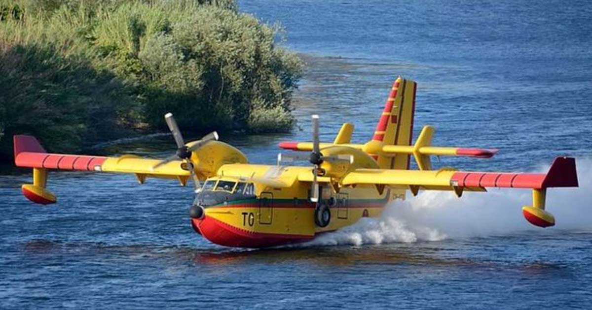 Photos. Taounate: Deux canadairs déployés pour circonscrire les feux de ...