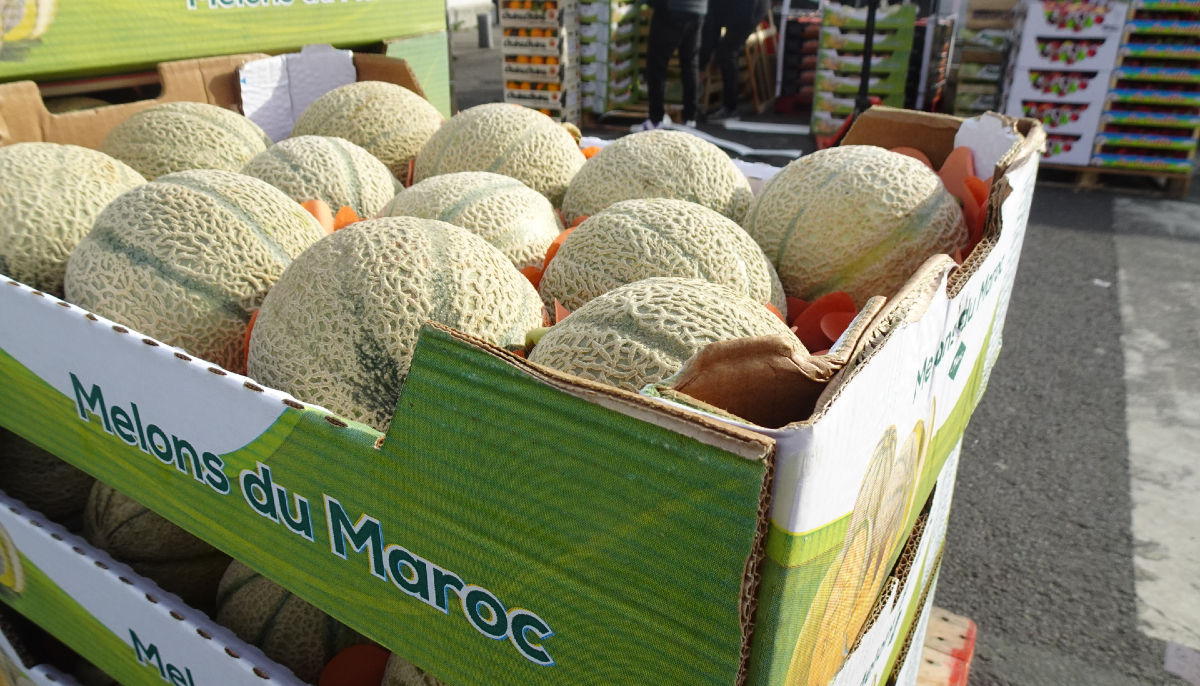 En Espagne, nouvelle alerte sanitaire sur des melons marocains , H24info